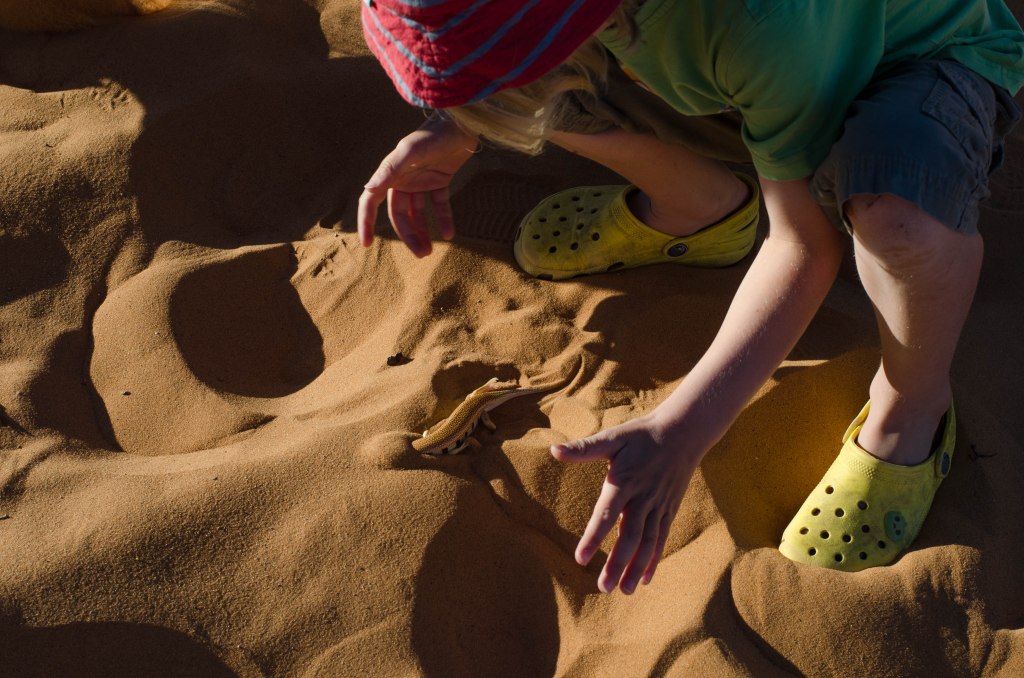 Into the Desert | The Mucky Root